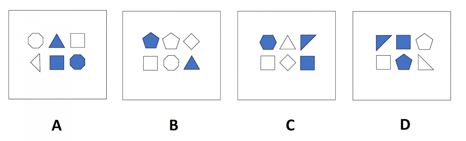 Pi Cognitive Assessment Answers 2024 The Pi Cognitive Assess